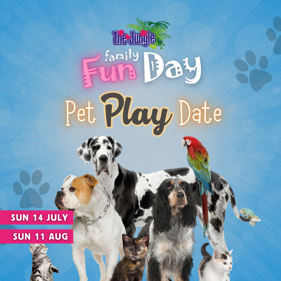 Family Fun Days - The Jungle NI