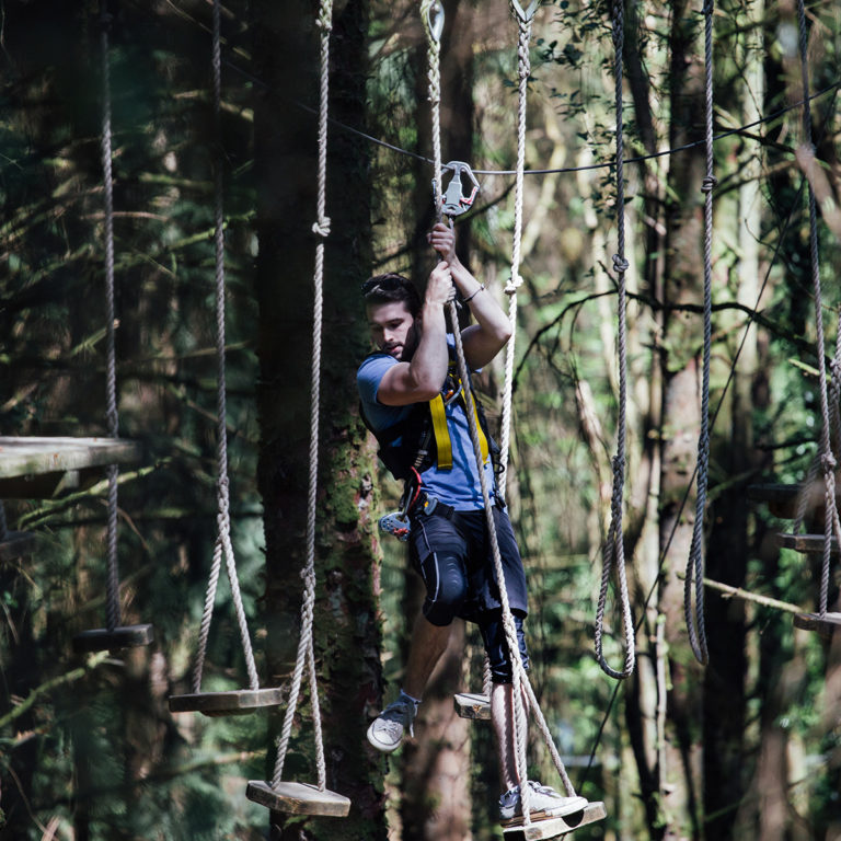 Adults Tarzan's Tree Top Adventure - The Jungle NI