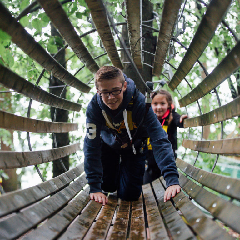 Kids Mowgli Tree Top Adventure - The Jungle NI