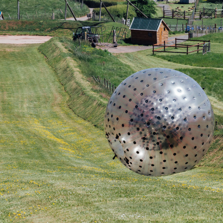 Zorbing - The Jungle NI