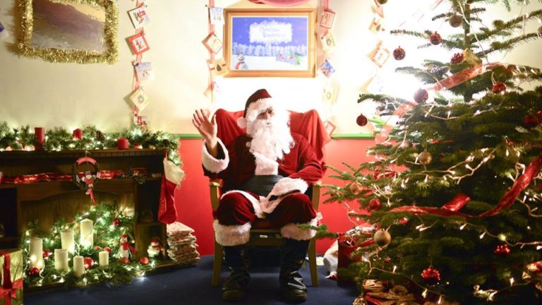 Christmas Wonderland - The Jungle NI