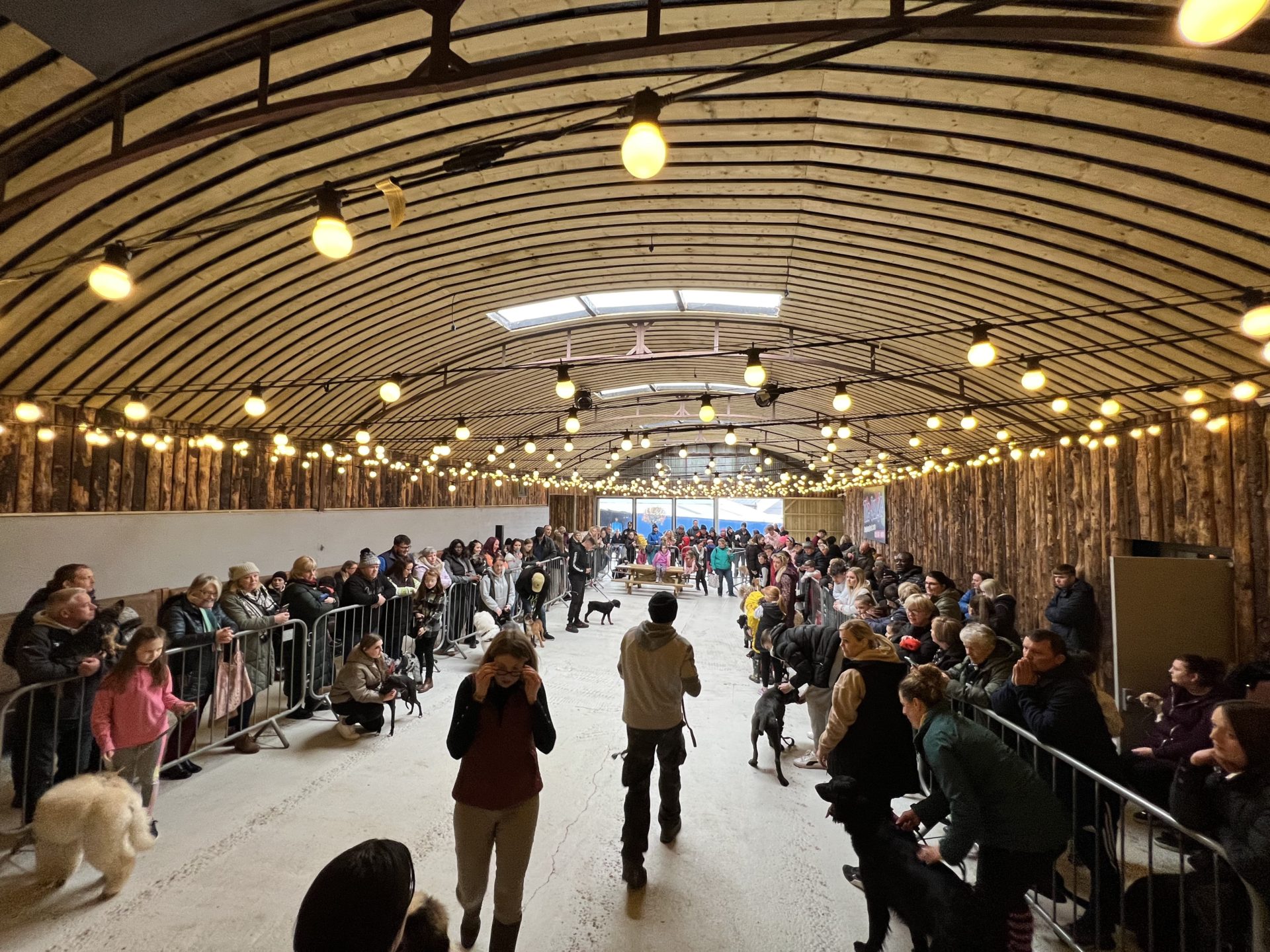 IMG 1374 - The Jungle NI