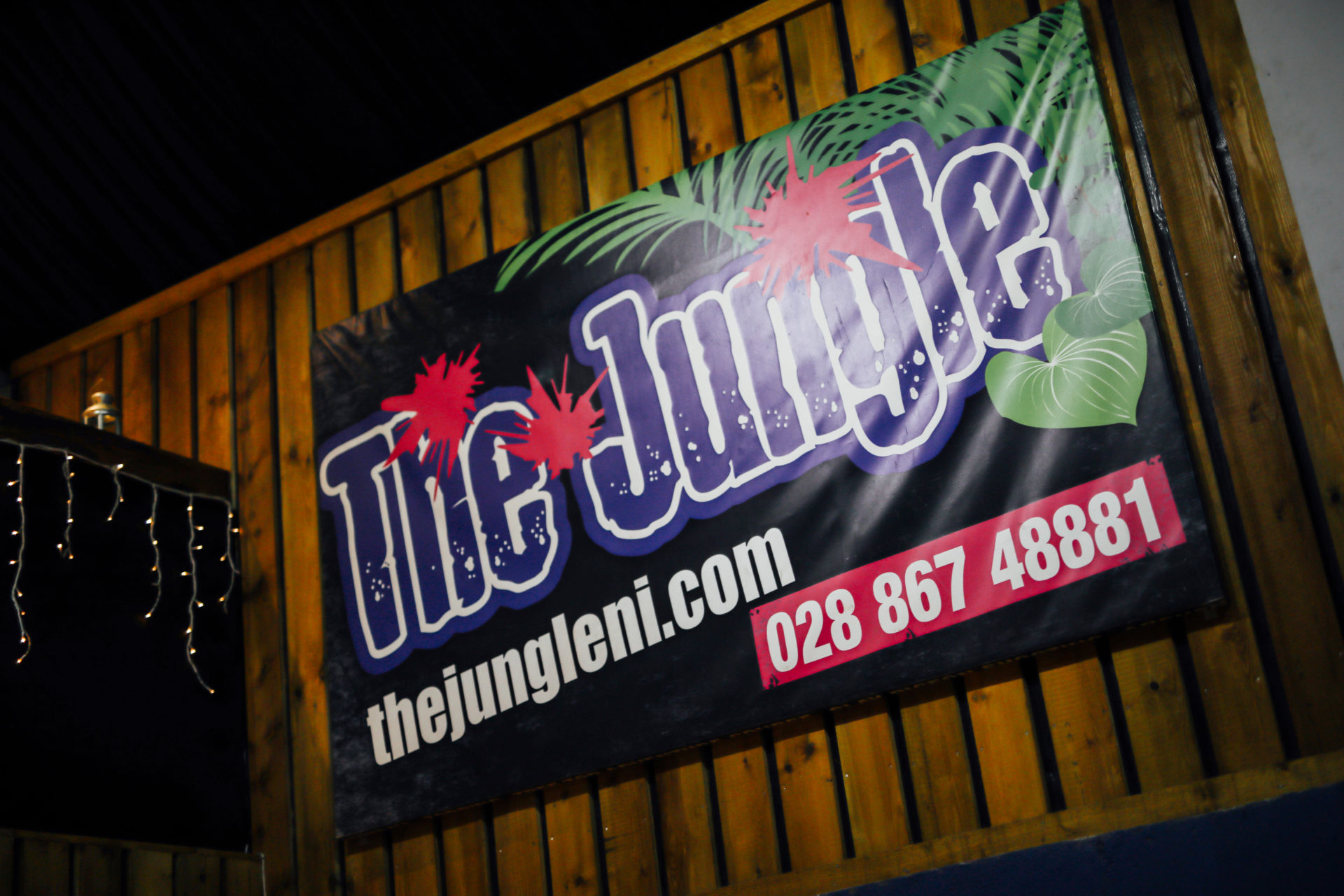 What’s Your Adventure Type? Discover the Jungle Experience That Matches ...